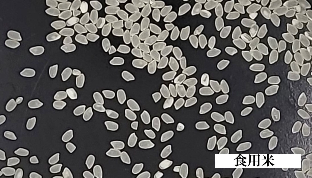 About rice polishing ratio | Nakai Sake Brewery Co., Ltd.